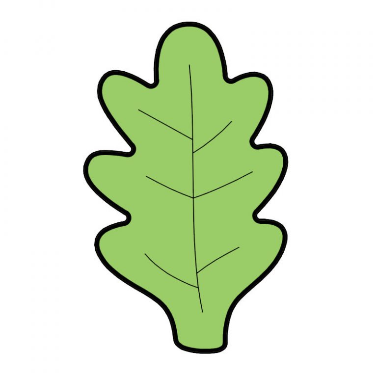 3D modla za kolače List hrasta | MODLICA